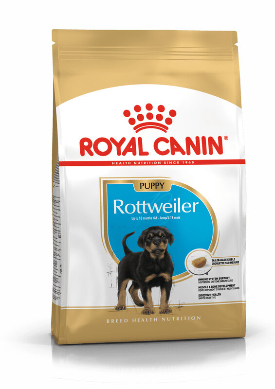 Royal Canin Для щенков Ротвейлера: от 2 до 18 мес. ( Rottweiler Junior 31), 12кг 12 кг