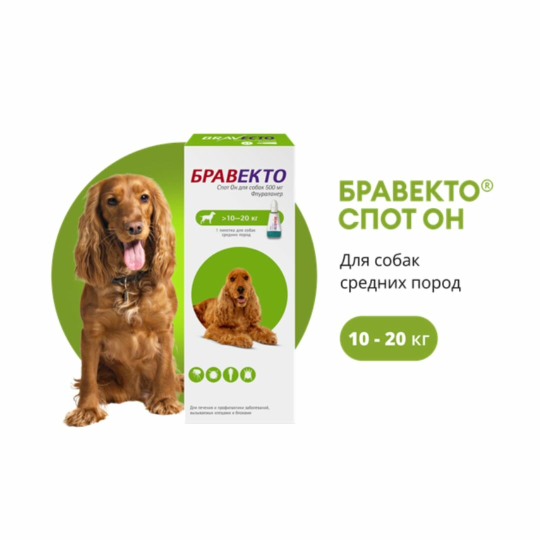 Бравекто капли от блох и клещей Спот Он для собак средних пород для собак от 10 до 20 кг 1 уп.