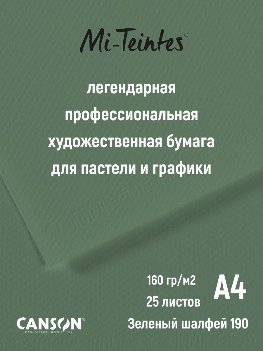 CANSON Mi-Teintes бумага для пастели 160 г/м2, 25 листов A4 21 х 29.7 см, №190 Зеленый шалфей C31032S043