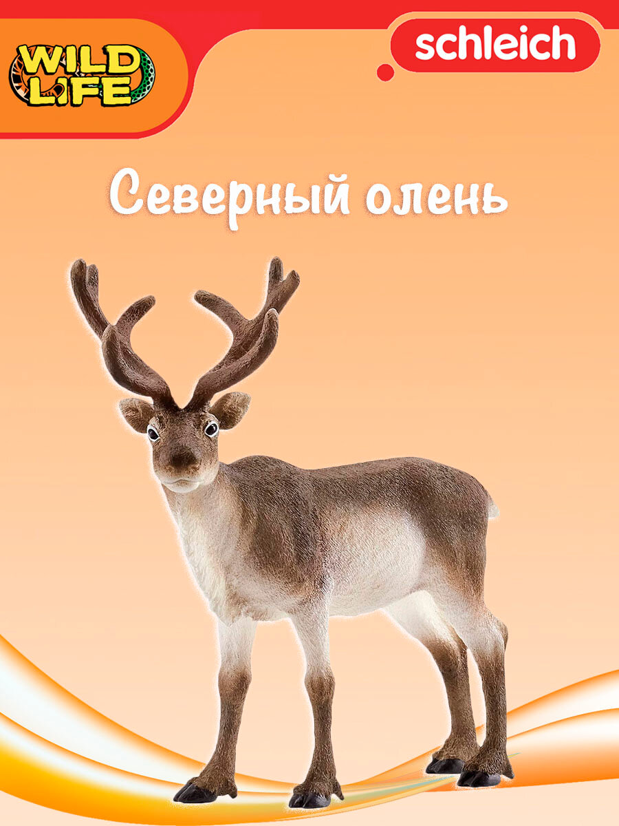 Schleich Wild Life Фигурка "Северный олень", для детей от 3 лет, 14837