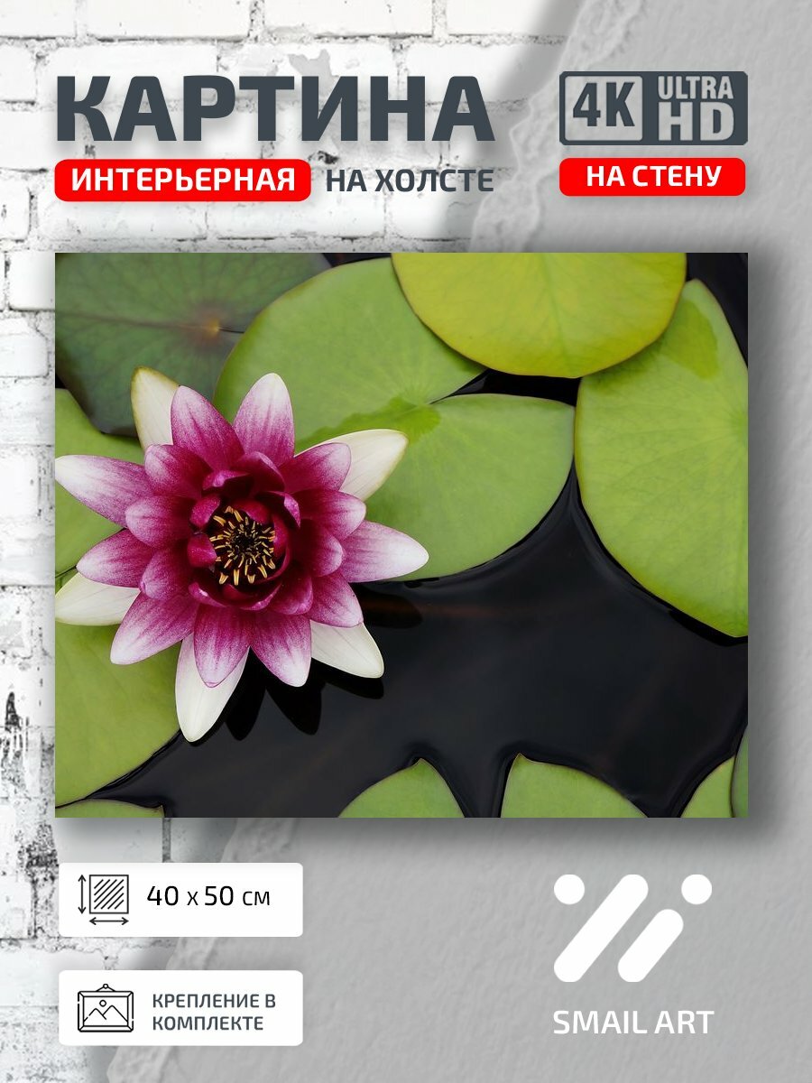 Картина на холсте интерьерная 40 на 50 на стену Вода Landscape для офиса пейзаж интерьер