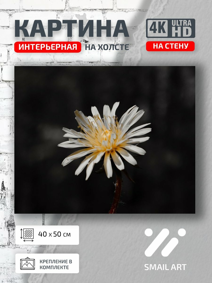 Картина на холсте интерьерная 40 на 50 на стену Фон Landscape для гостиной пейзаж интерьер