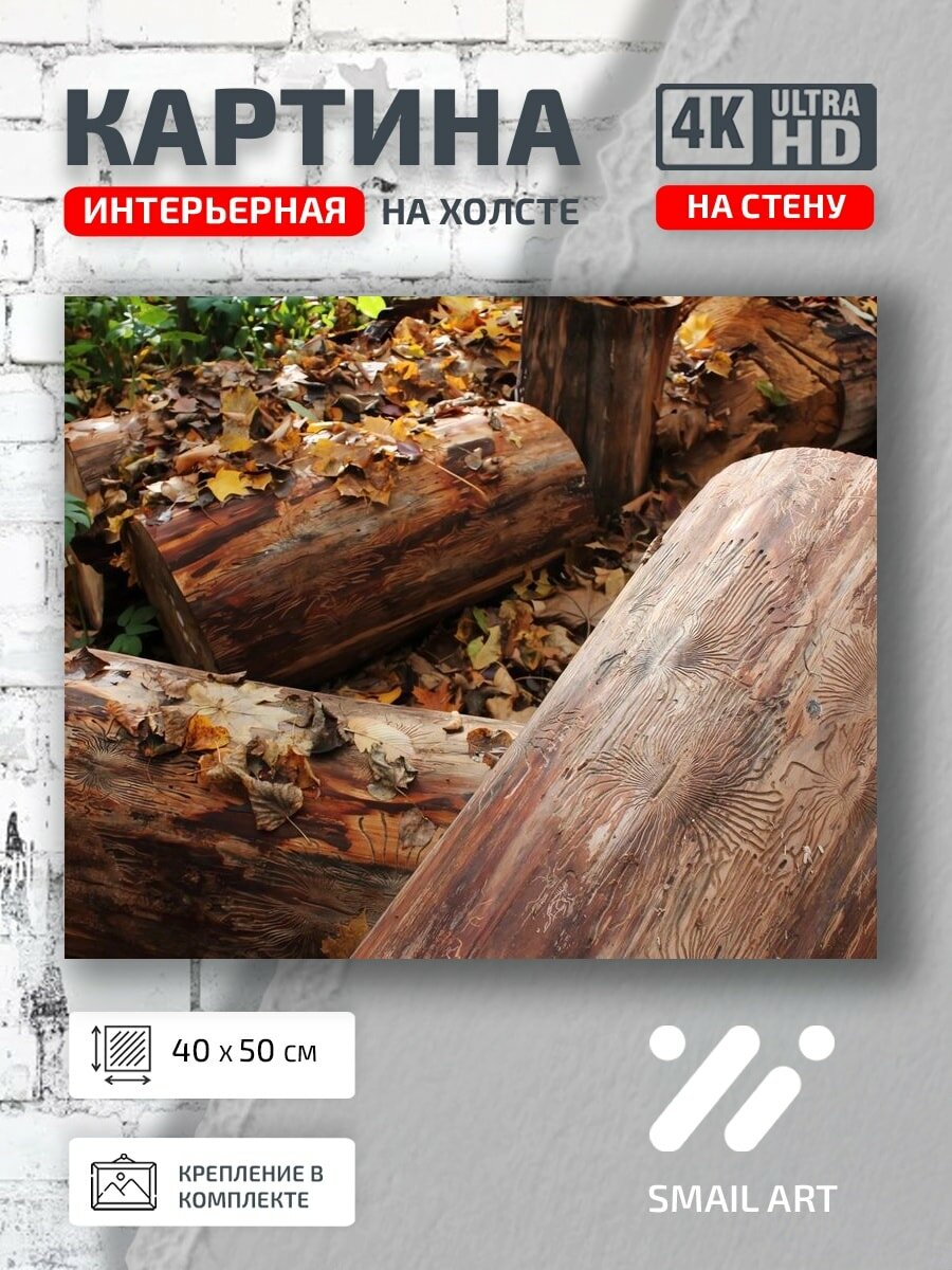 Картина на холсте интерьерная 40 на 50 на стену пень дерево для студии атмосфера