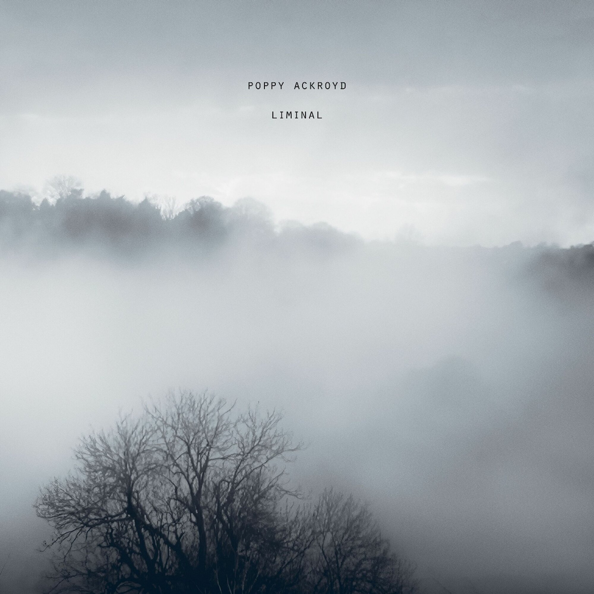Виниловая пластинка Poppy Ackroyd - Liminal (LP) 2026
