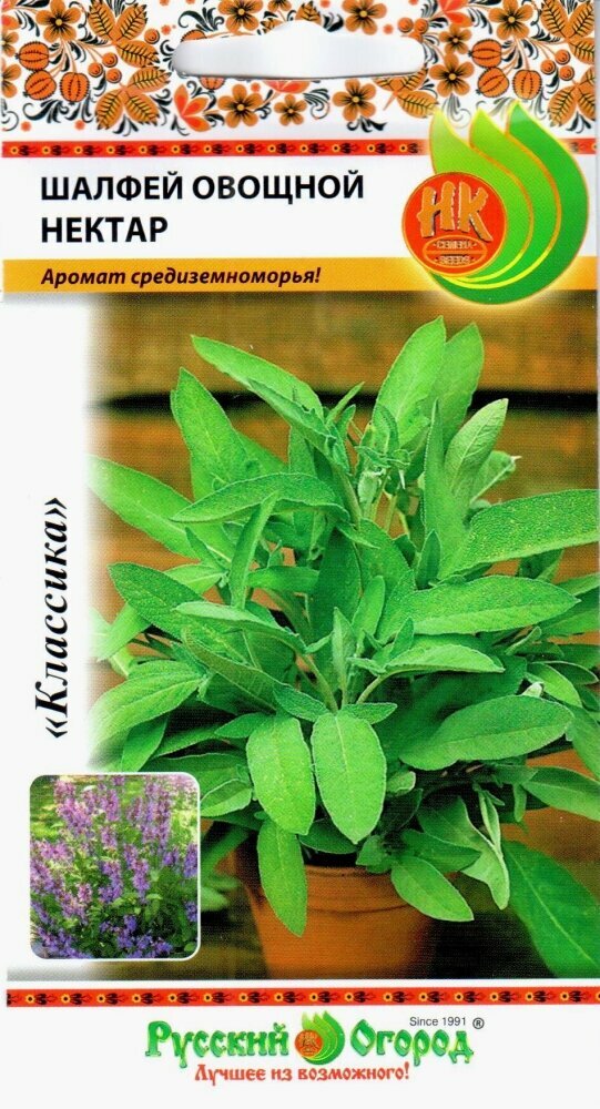 Семена Шалфей Нектар овощной 0,5г (Русский Огород)