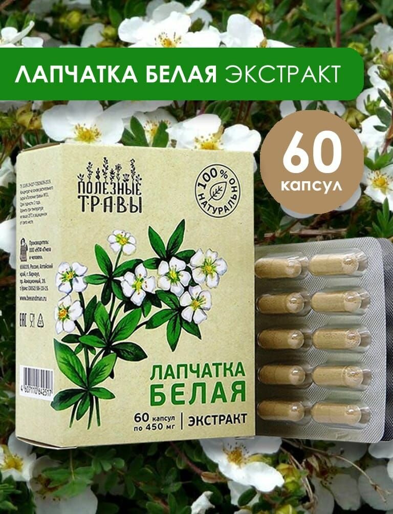 Лапчатка белая, экстракт для щитовидной железы 60 капсул, Пчела и человек