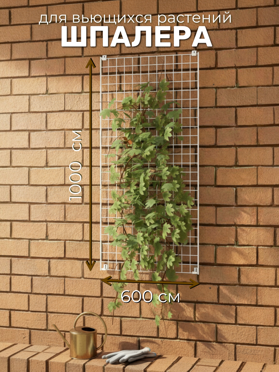 Шпалера 1000x600мм, настенная, садовая опора для растений, белый