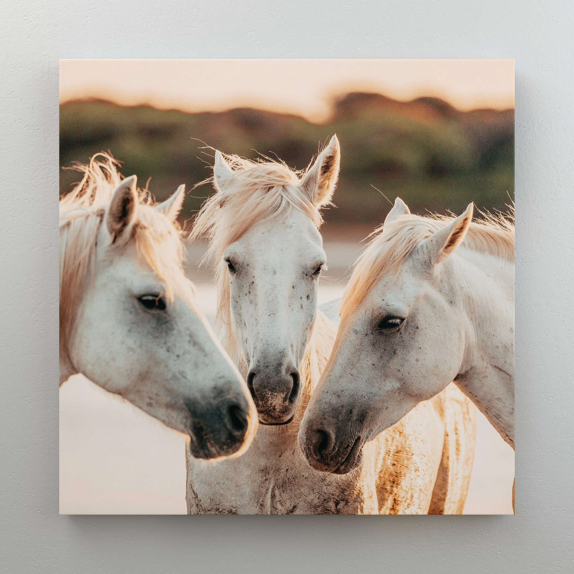 Интерьерная картина на холсте "Белые лошади" животные, размер 25x25 см
