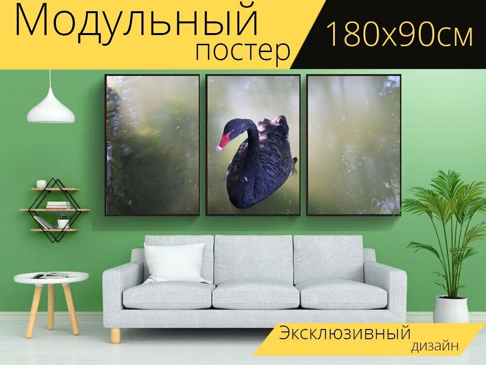 Модульный постер "Лебедь, черный лебедь, птица" 180 x 90 см. для интерьера
