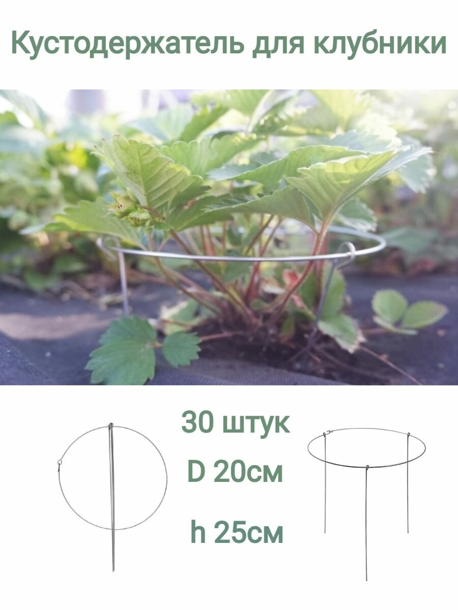 Кустодержатель садовый универсальный, металлический, круглый для клубники. Опора для растений, цветов, кустов 30 шт. диаметр 20см, высота 25см.