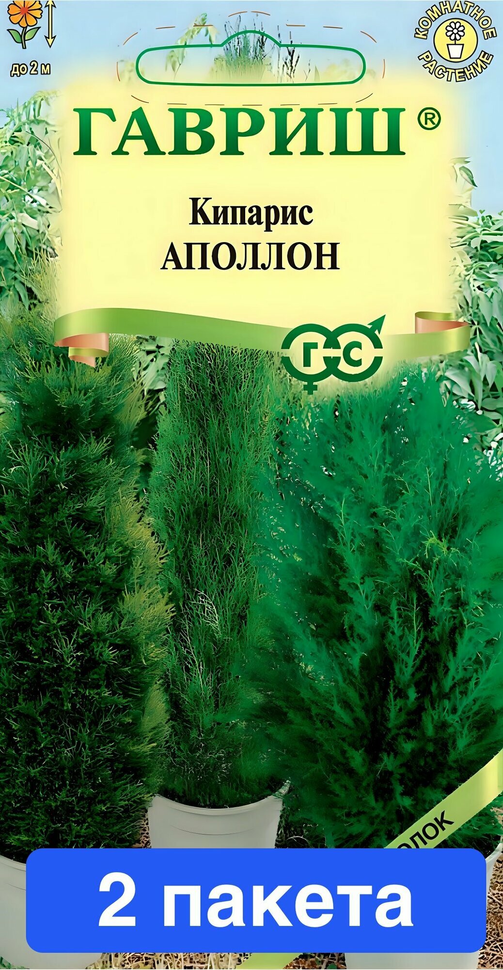 Кипарис Аполлон вечнозеленый 2 пакета
