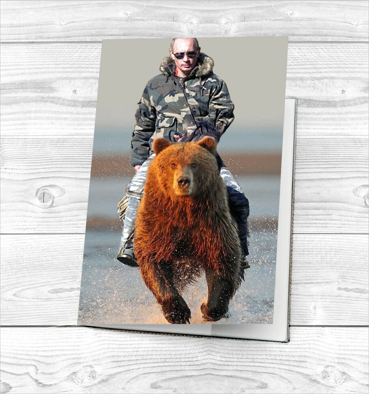 Обложка для паспорта