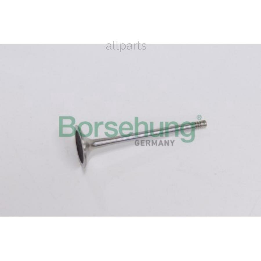 BORSEHUNG 'B19026 Клапан впускной VAG