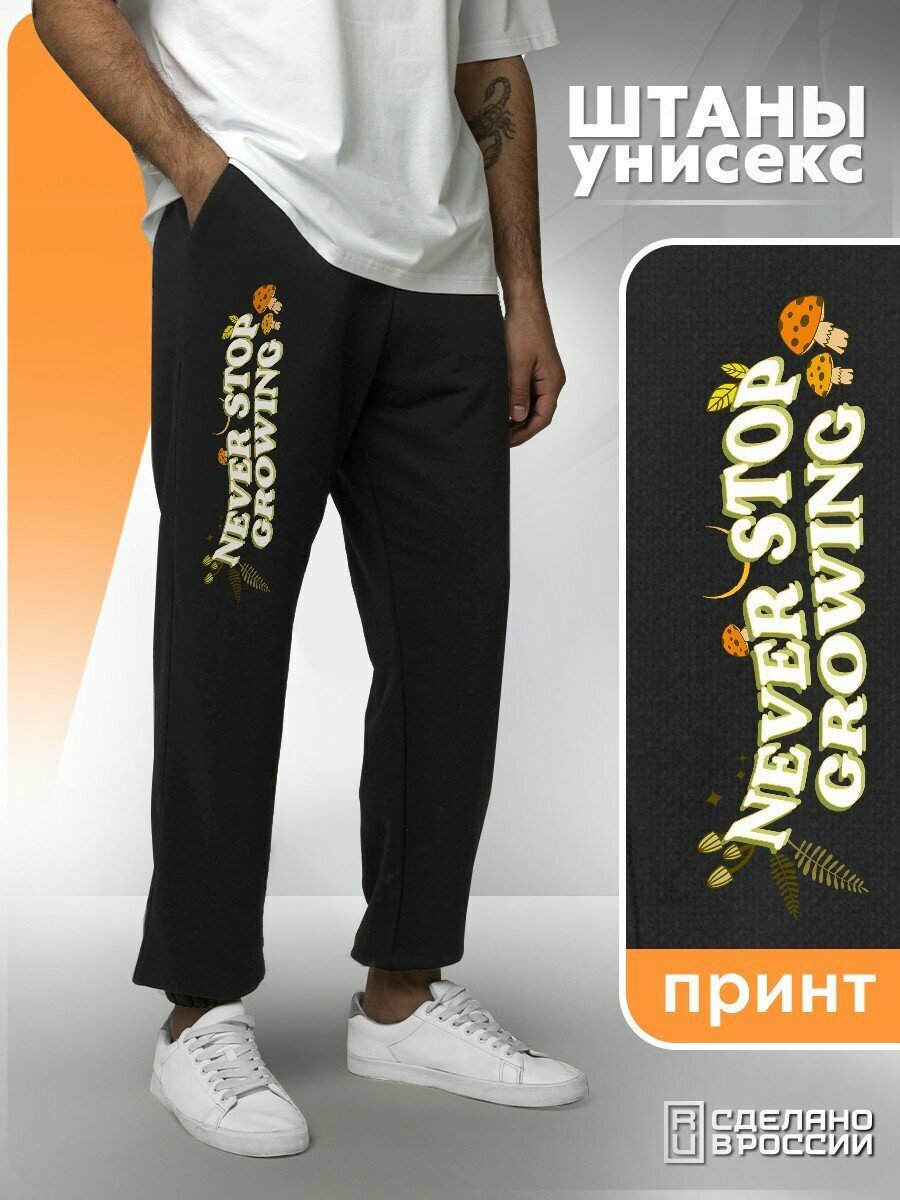 Брюки спортивные Бруталити