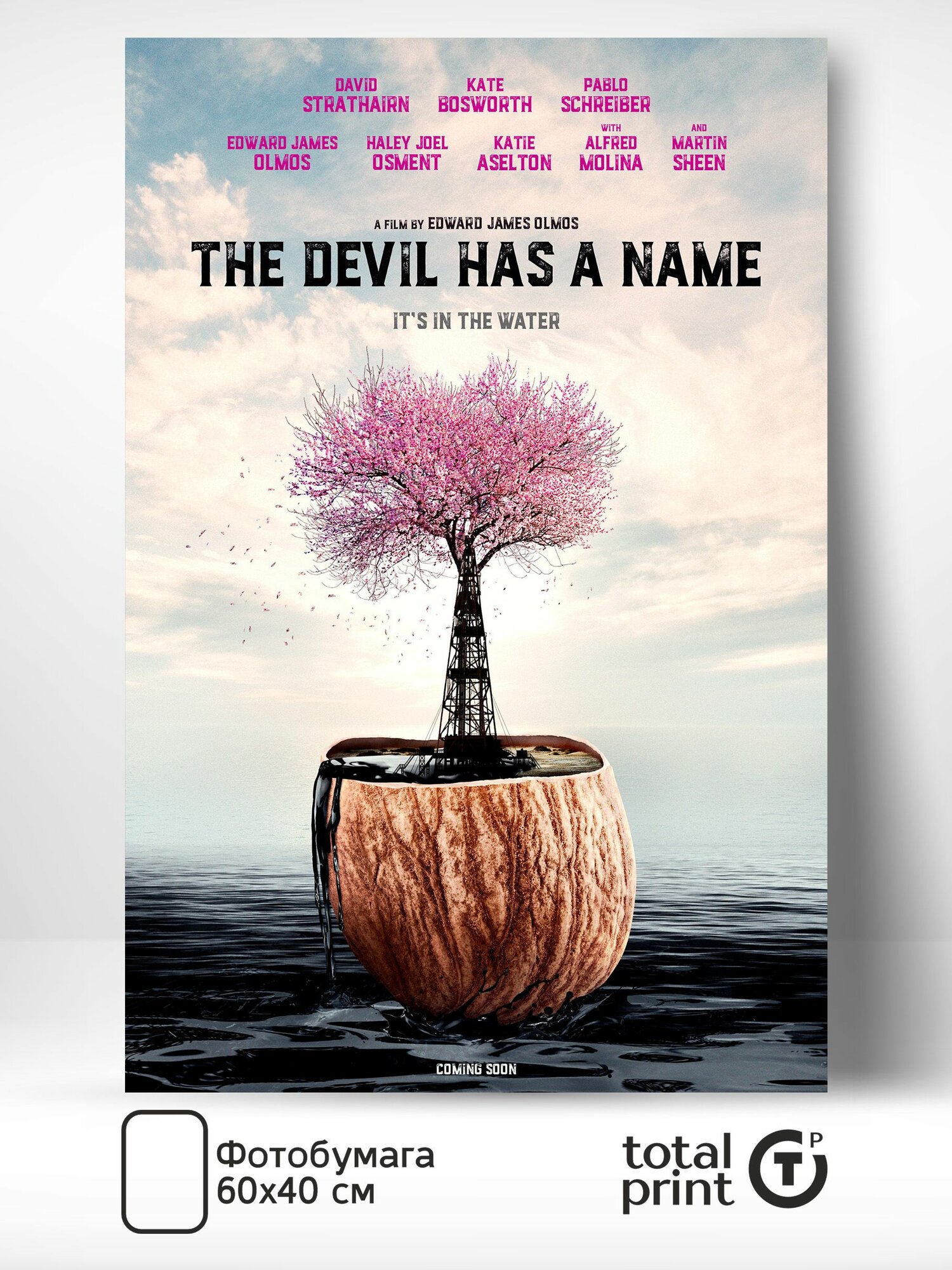 TotalPrint Постер для интерьера по фильму, 60х40см, У дьявола есть имя