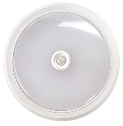 Cветильник настенно-потолочный IN HOME / Ин Хоум СПБ-2Д, светодиодный, 4000К 14Вт IP40, 4690612020693 / освещение помещений