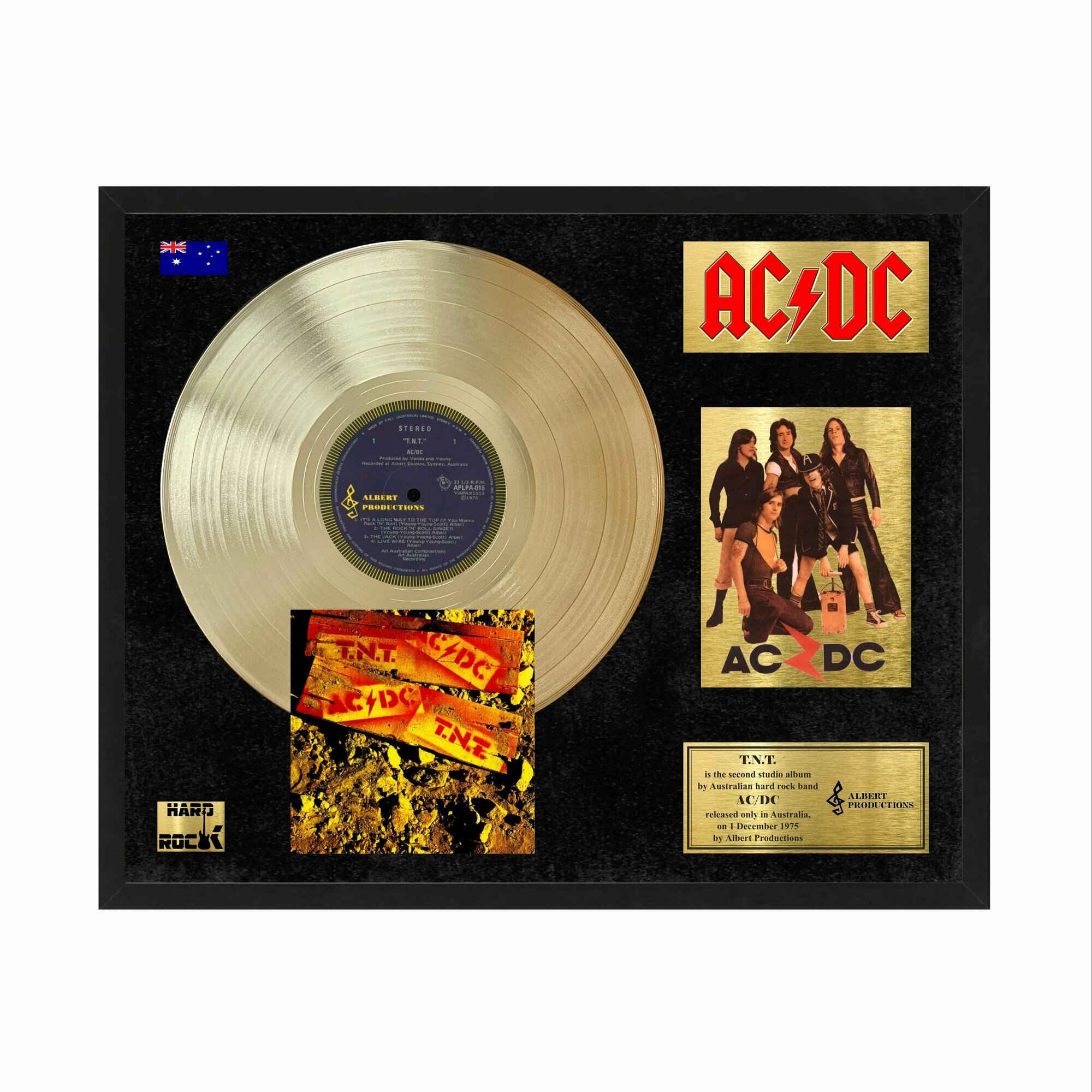 ACDC Картина с золотым диском