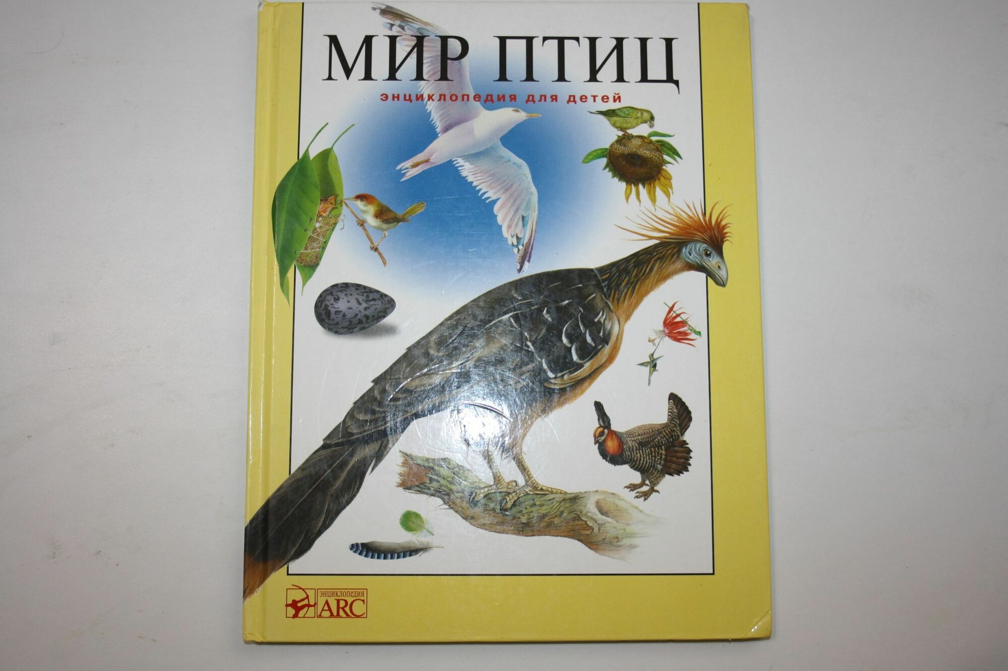 Мир птиц. Энциклопедия для детей