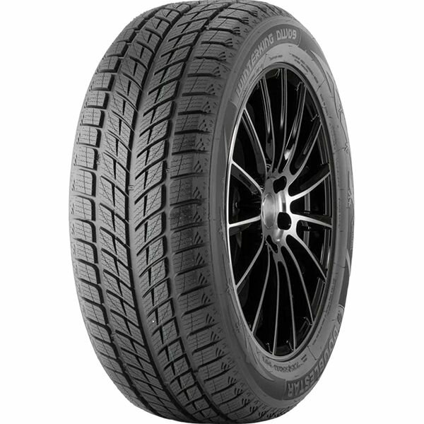 Шины зимние DoubleStar Winterking DW09 315/35 R20 106T