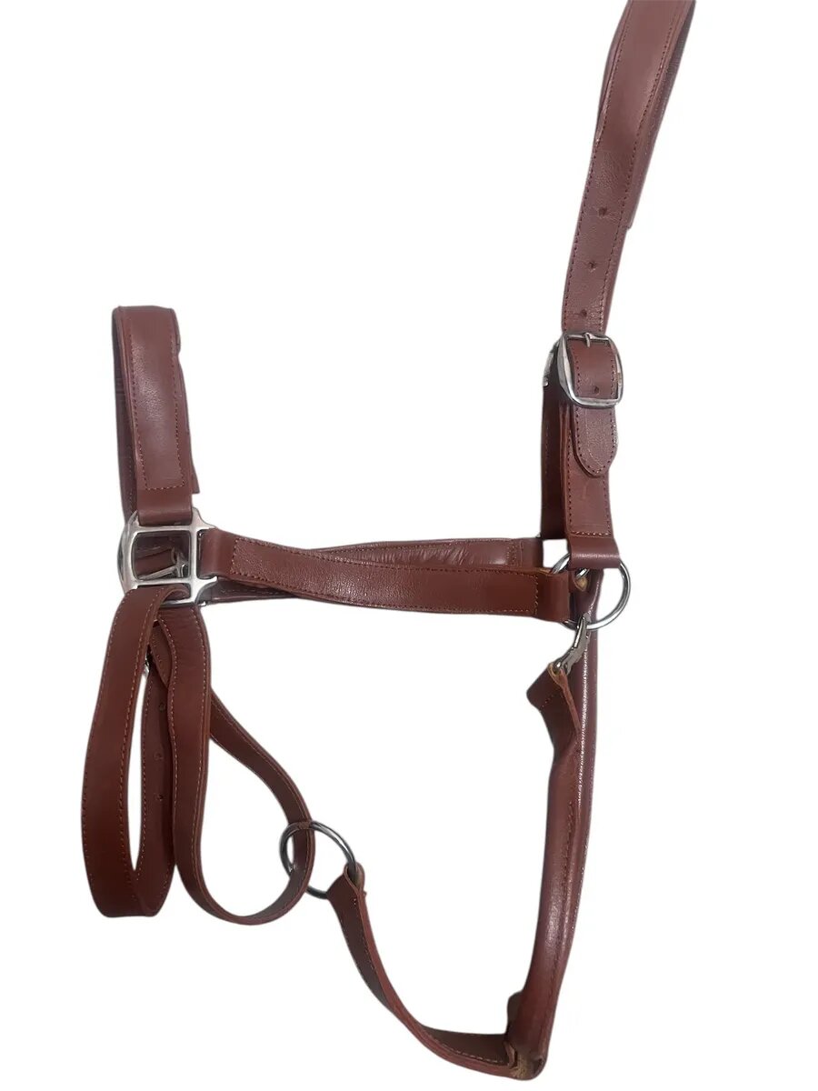 Недоуздок для лошади