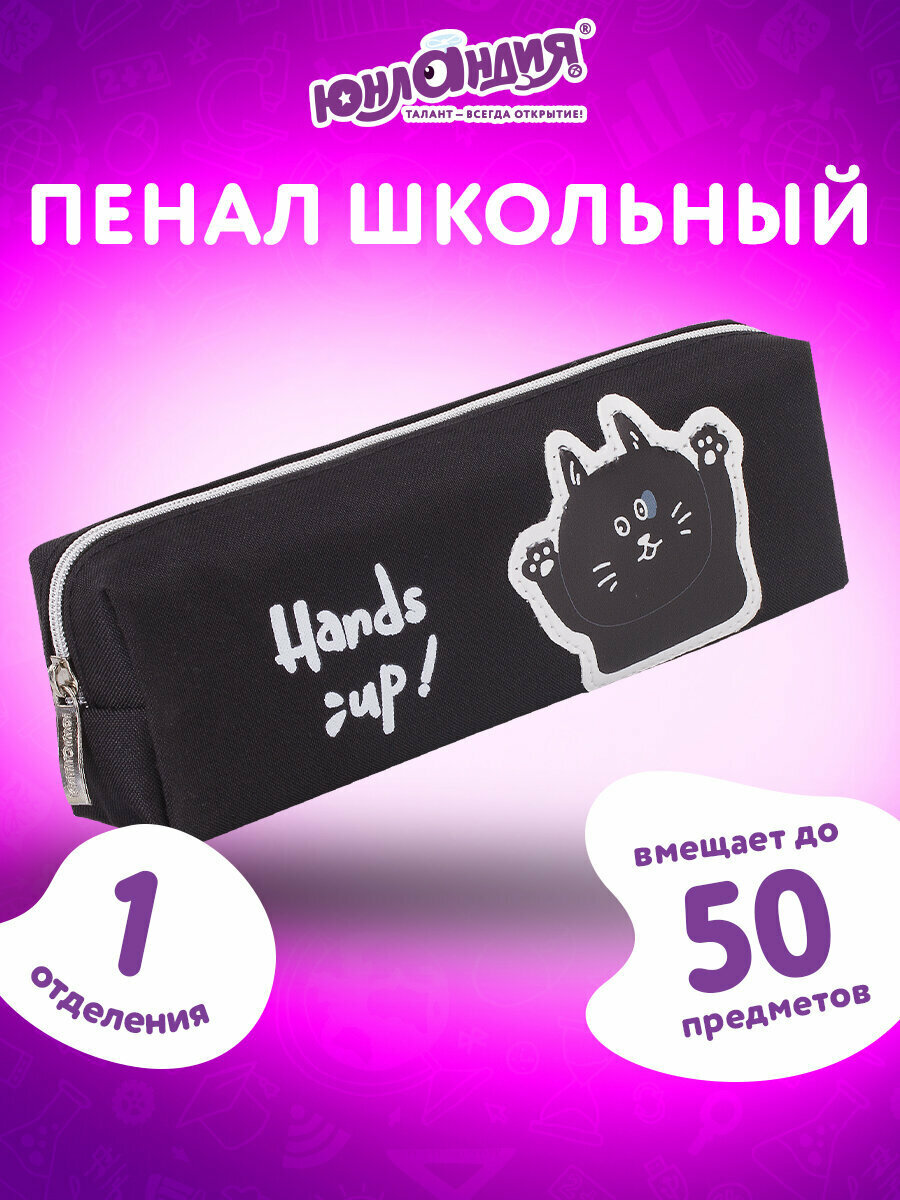 Пенал юнландия, 1 отделение, полиэстер, Сat, черный, 19х4х6 см, 270279