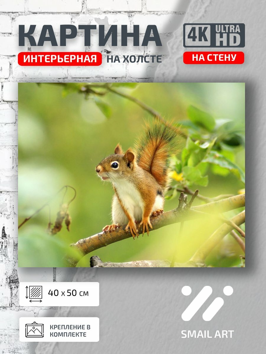 Картина на холсте интерьерная 40 на 50 на стену Ветке Mood для студии атмосфера интерьер