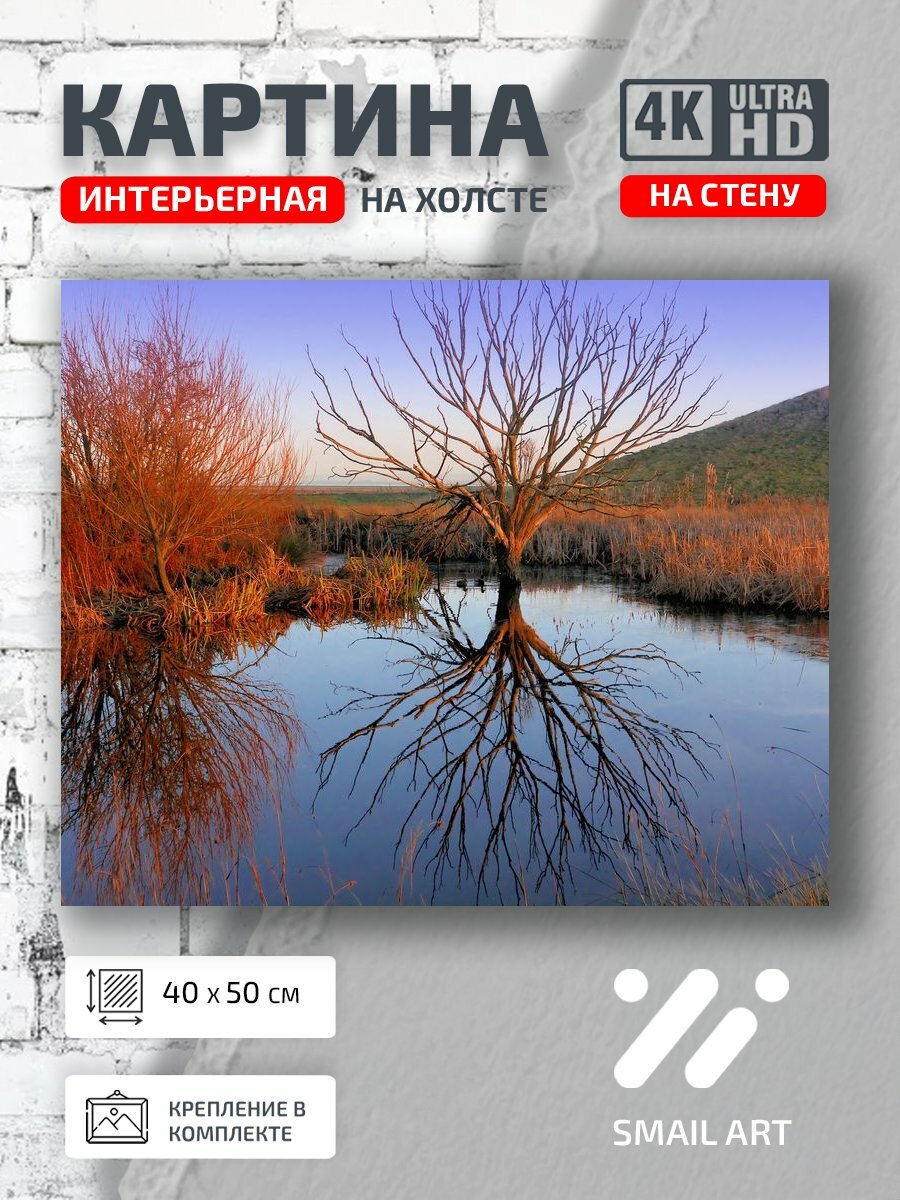 Картина на холсте интерьерная 40 на 50 на стену Отражение Landscape для гостиной пейзаж