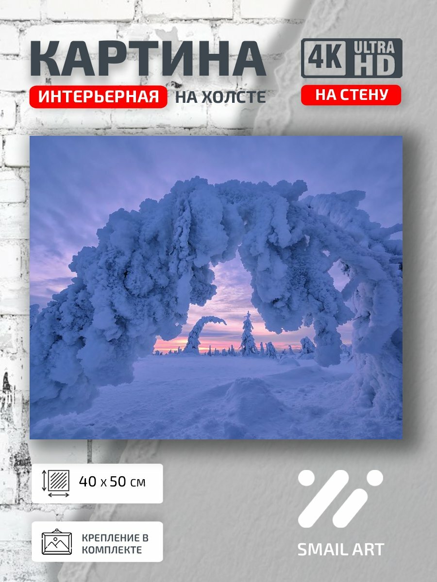 Картина на холсте интерьерная 40 на 50 на стену Иней Landscape для кабинета пейзаж интерьер