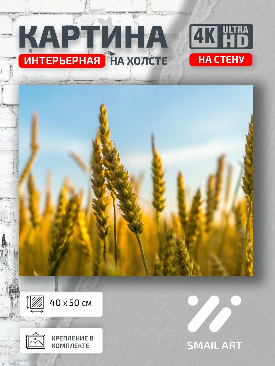 Картина на холсте интерьерная 40 на 50 на стену Лучи Landscape для офиса пейзаж интерьер
