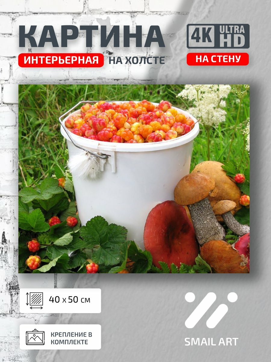 Картина на холсте интерьерная 40 на 50 на стену Ведре Food для кухни кулинария интерьер