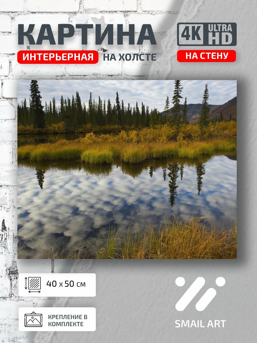 Картина на холсте интерьерная 40 на 50 на стену Трава reflection для спальни пейзаж декор