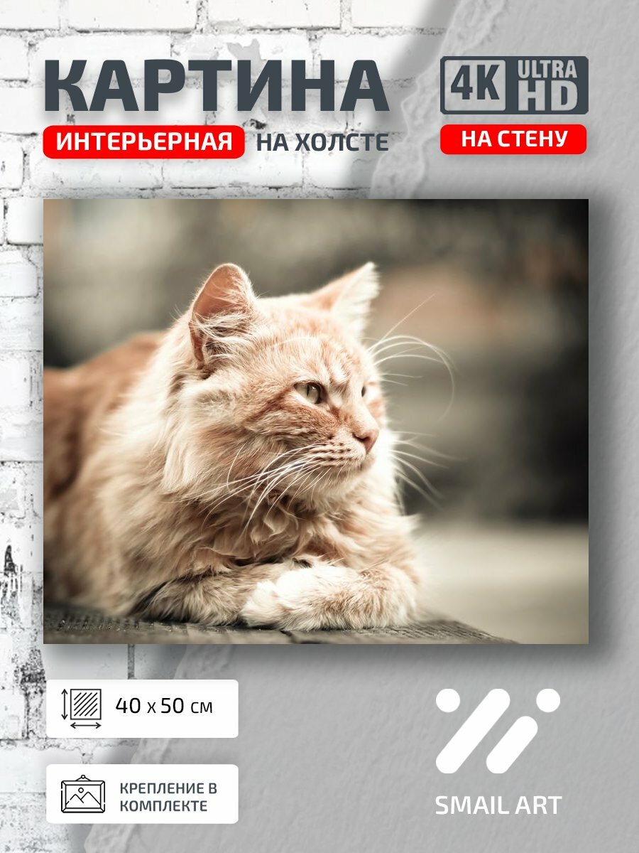 Картина на холсте интерьерная 40 на 50 на стену Лежит Animal для гостиной animal style