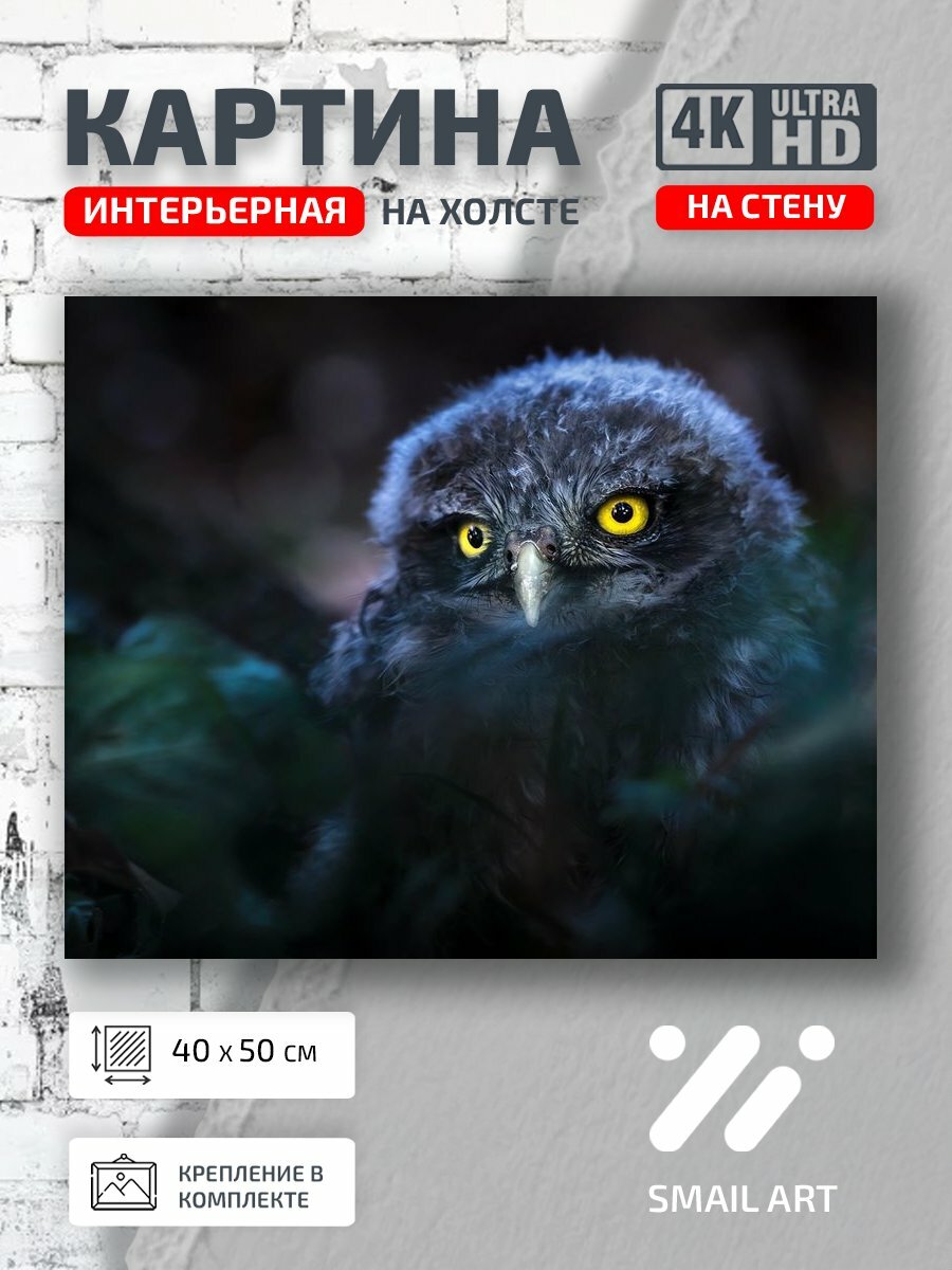Картина на холсте интерьерная 40 на 50 на стену Глаза Animal для кафе animal style интерьер