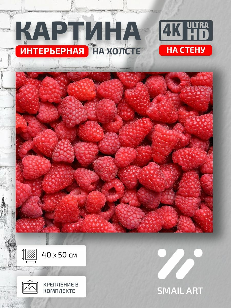Картина на холсте интерьерная 40 на 50 на стену Ягоды Food для офиса кулинария интерьер