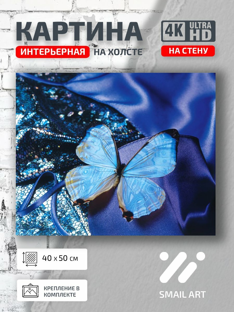 Картина на холсте интерьерная 40 на 50 на стену Бабочка Holiday для студии праздник декор