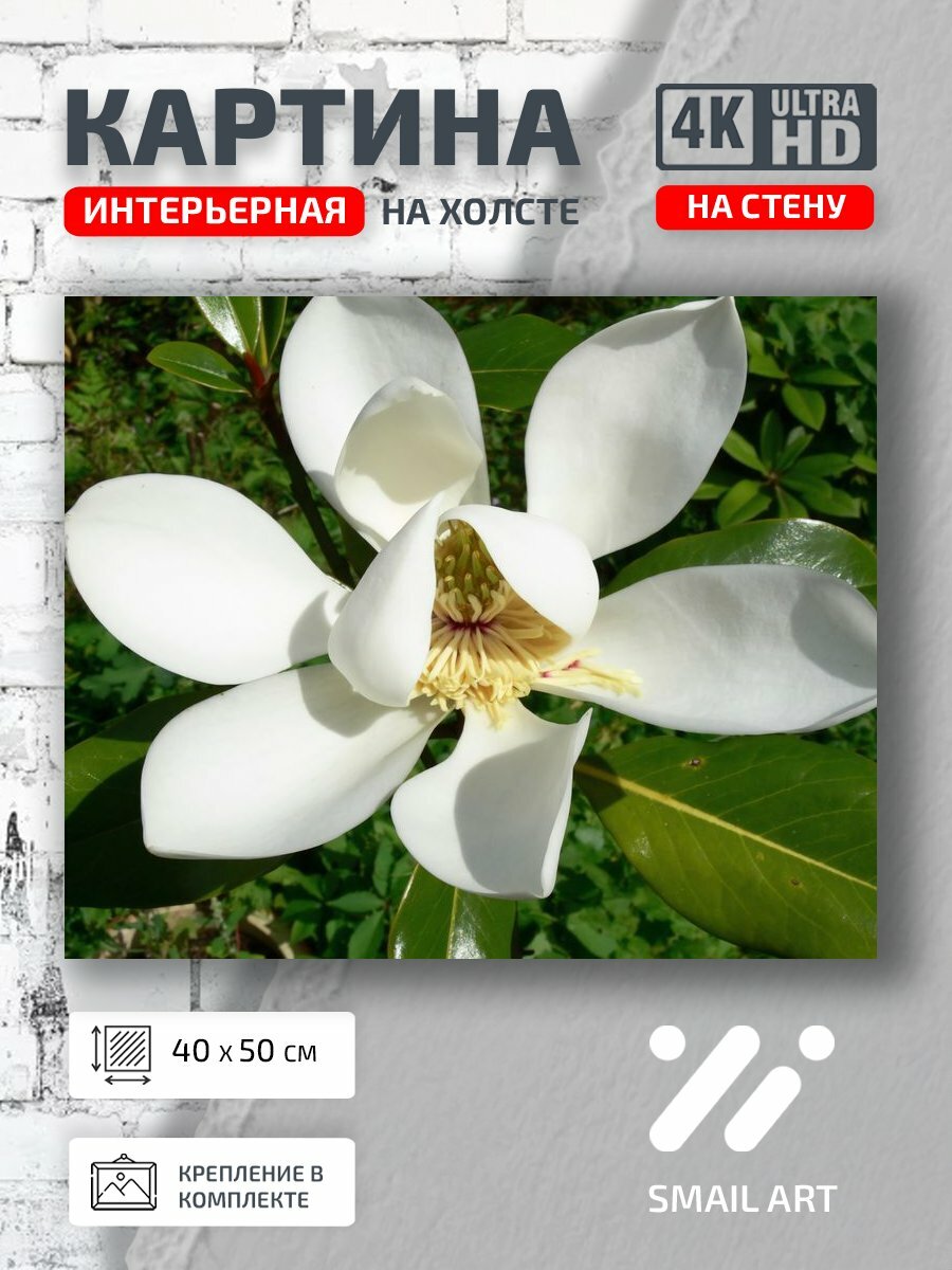 Картина на холсте интерьерная 40 на 50 на стену Лепестки Fantasy для геймера фэнтези декор