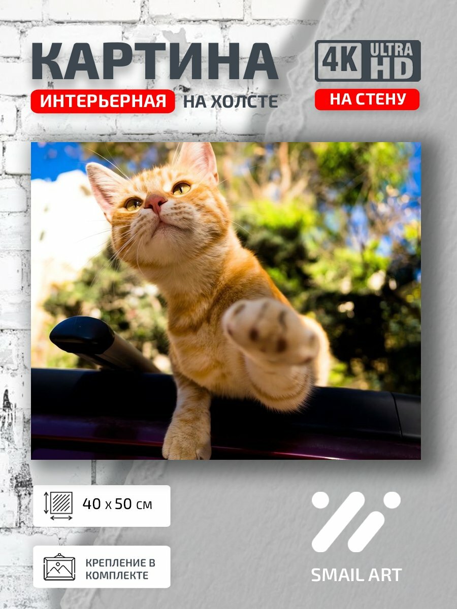 Картина на холсте интерьерная 40 на 50 на стену Лапа Animal для детской animal style декор