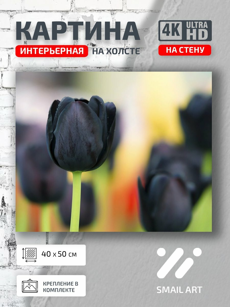 Картина на холсте интерьерная 40 на 50 на стену Черный Landscape для гостиной пейзаж декор