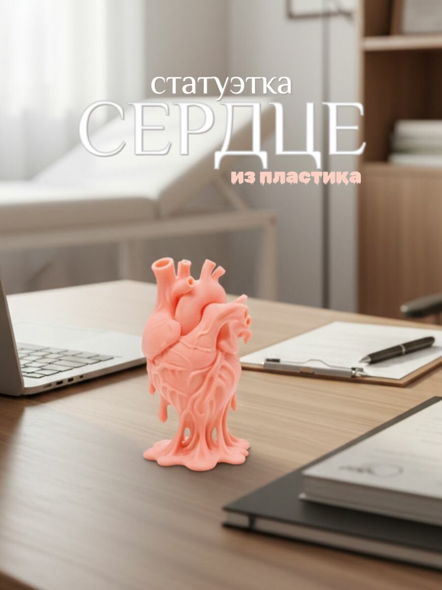 Статуэтка Сердце анатомическое / Декор для интерьера / Подарок врачу