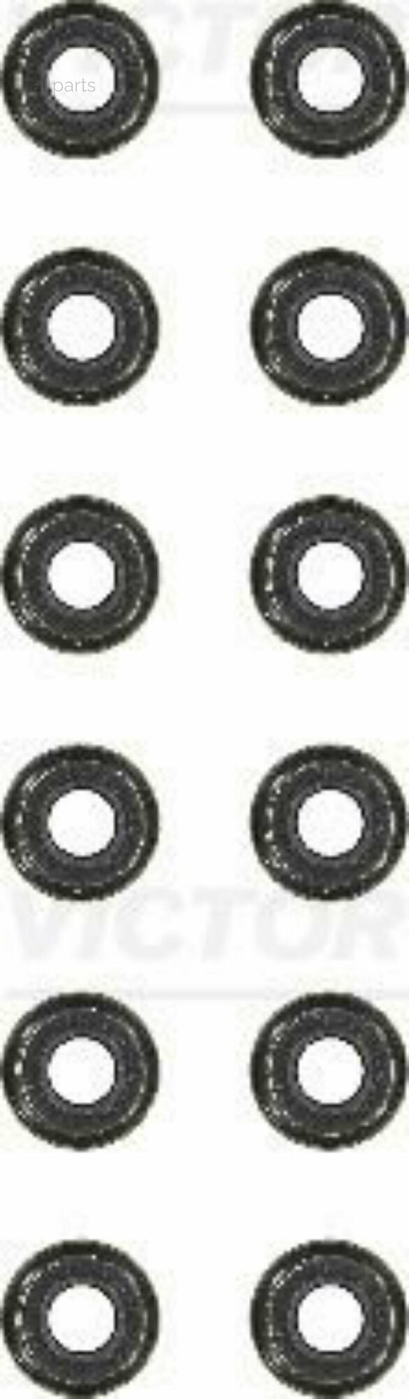 VICTOR REINZ 12-31306-08 Колпачок маслосъемный (комп. 12шт) BMW VICTOR REINZ 12-31306-08