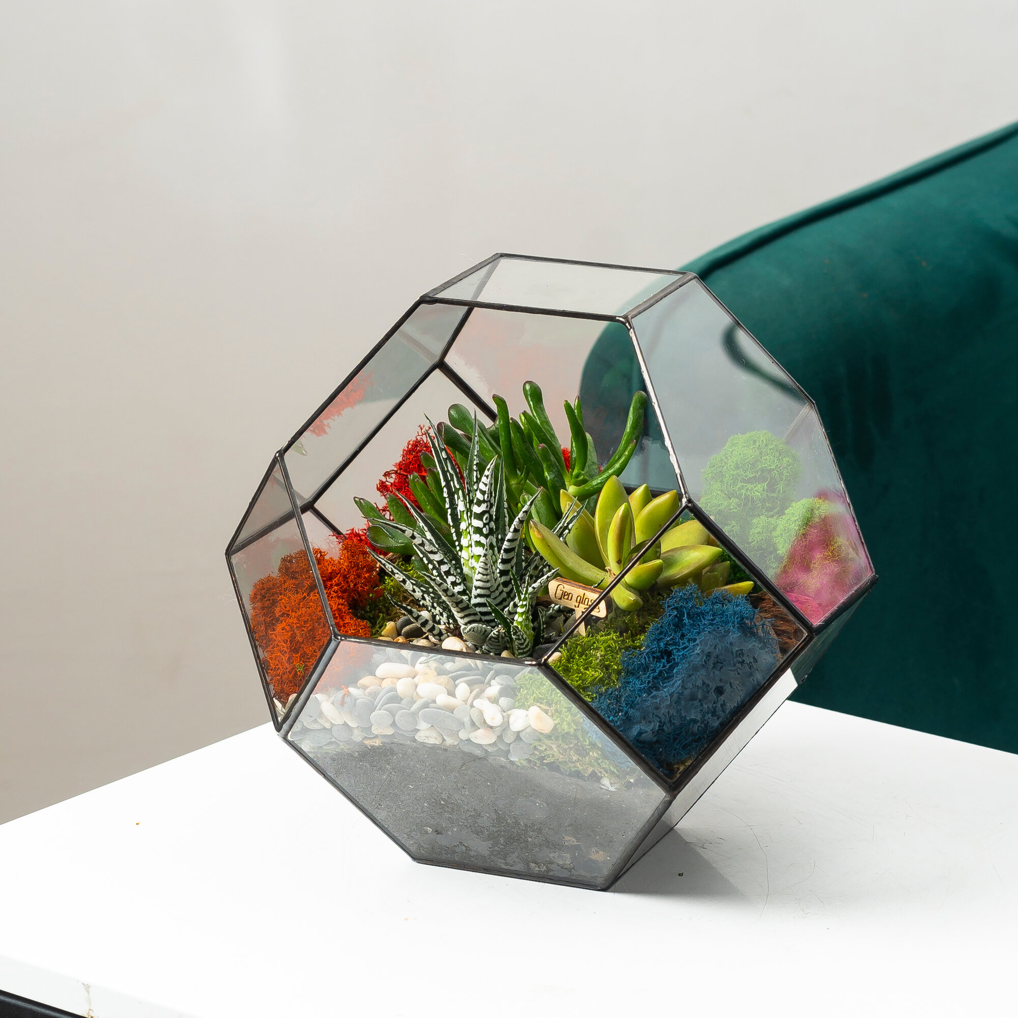 Geo Glass: флорариум с суккулентами , мини сад с суккулентами , подарок