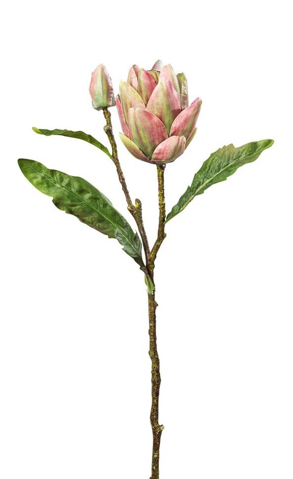 Fiebiger Floristik 158218-708 Цветок декоративный "Артишок", 56 см