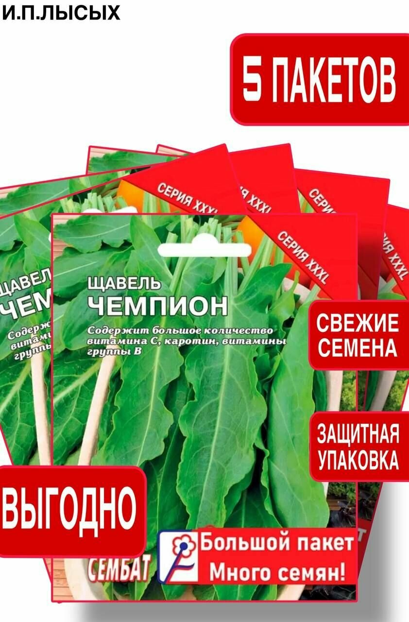 Семена Щавель Чемпион 5шт