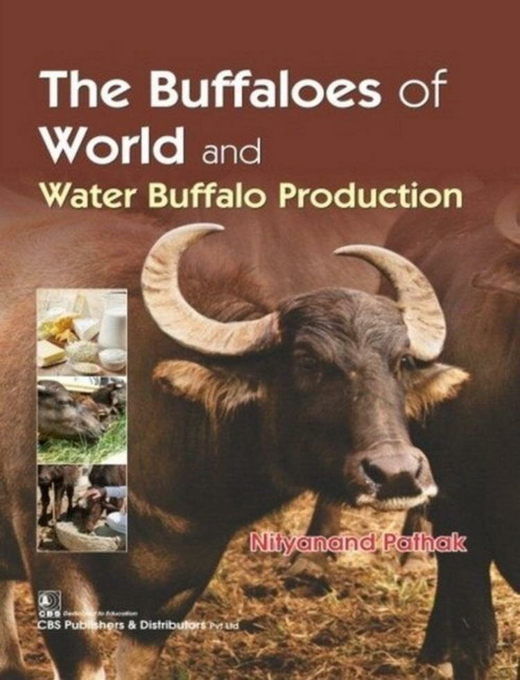 The Buffaloes Of World And Water Buffalo Production