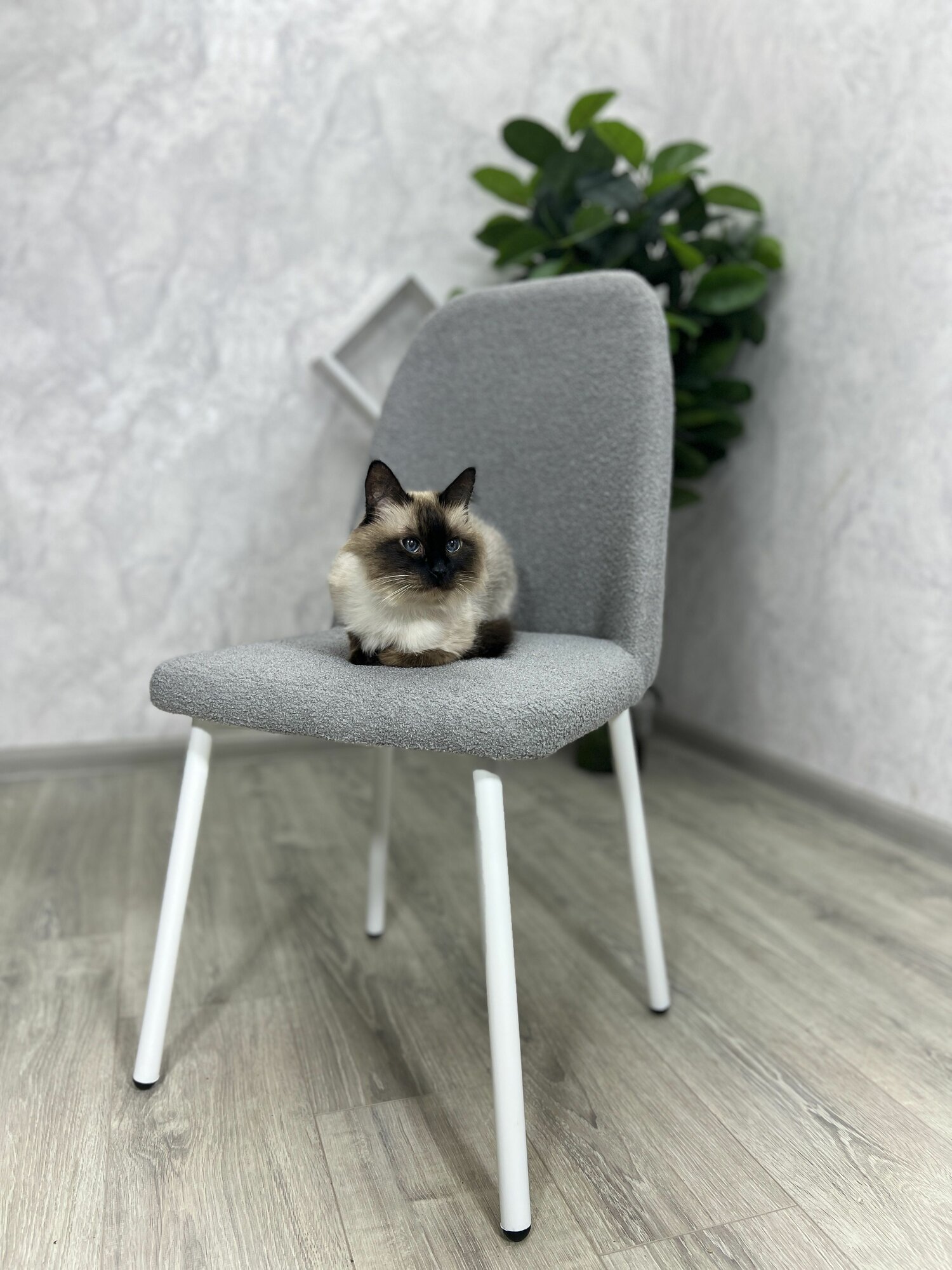Стул мягкий для Кухни, букле