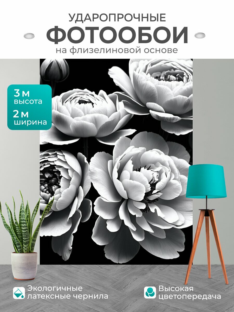 Фотообои моющиеся ударопрочные "Пионы в черно-белом стиле, оформленные с использованием элемента сюрреализма, чтобы вызвать удивление и интерес" 200x300 см. флизелиновые на стену