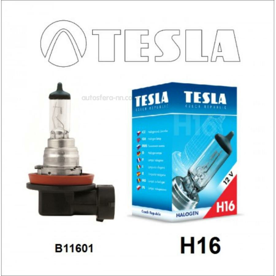 TESLA B11601 Автолампа галогеновая