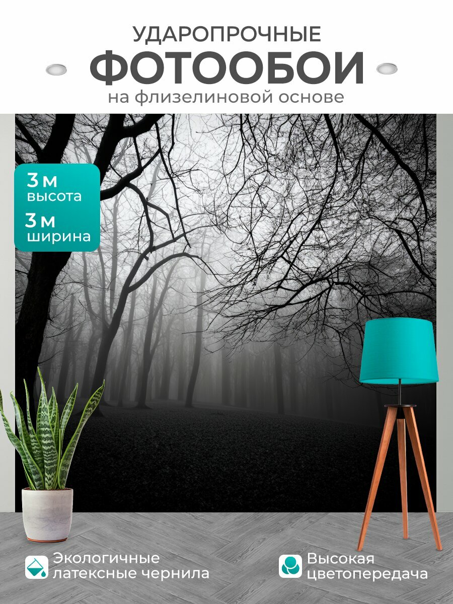 Фотообои моющиеся ударопрочные "Черно-белый, показывающие ветви деревьев, окутанные туманом в лесу, создающими атмосферу загадки. стиль - романтический" 300x300 см. флизелиновые на стену