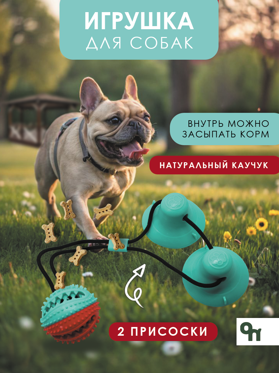 Игрушка для собак N1 "Тяни-кусай", для зубов, на присосках, красная, бирюзовая, 55см