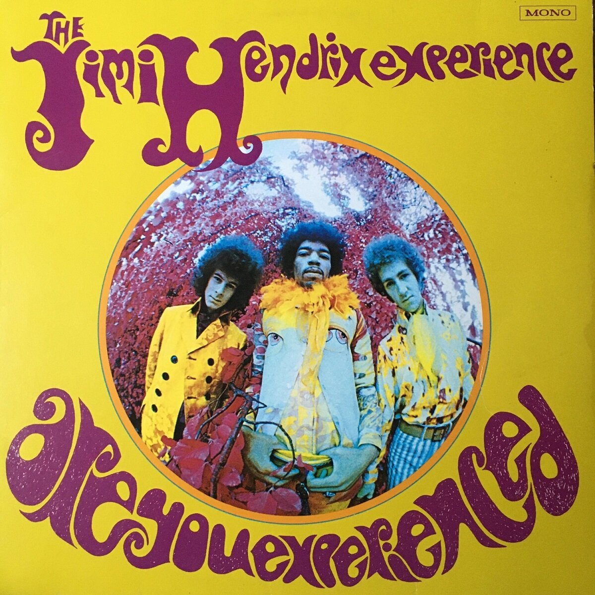 The Jimi Hendrix Experience. Are You Experienced (LP / USA Sleeve Version / Виниловая пластинка)
